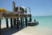 Explore Kure - Kure Atoll Conservancy